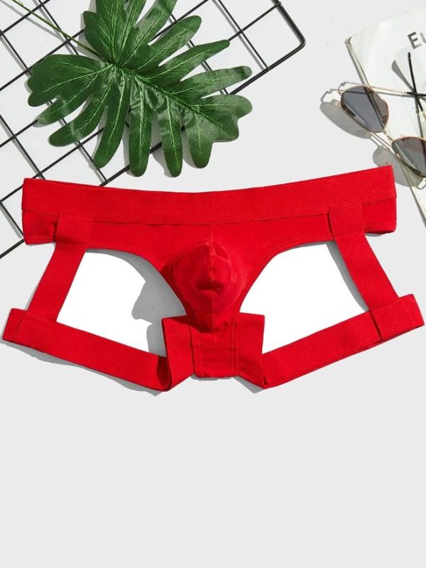Explore Me Cutout Thong Trunk Sexy Curves